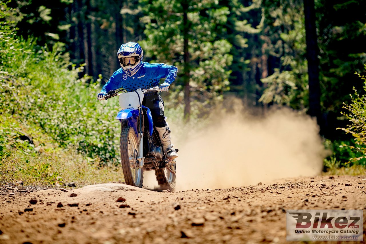 Yamaha TT-R230 poster